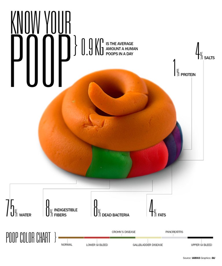 Infographic: How Much Do We Poop – And What’s In It? – Michael Sandberg ...