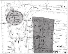 MSU Whitehead Map – Michael Sandberg's Data Visualization Blog