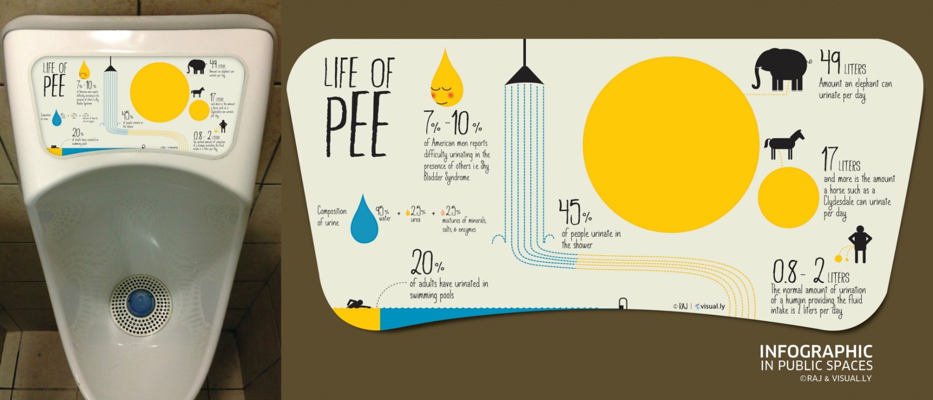 Infographic: The Facts About Pee – Michael Sandberg's Data ...