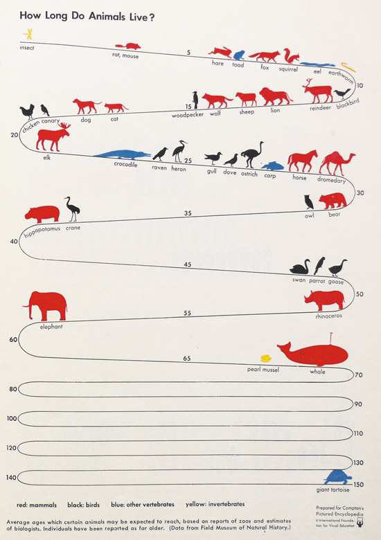 DataViz History: ISOTYPE Charts: The Vintage Visual Language That Gave ...