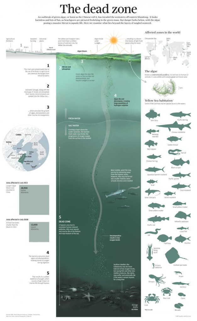 Environmental Infographic: The Dead Zone (Adolfo Arranz) – Michael ...