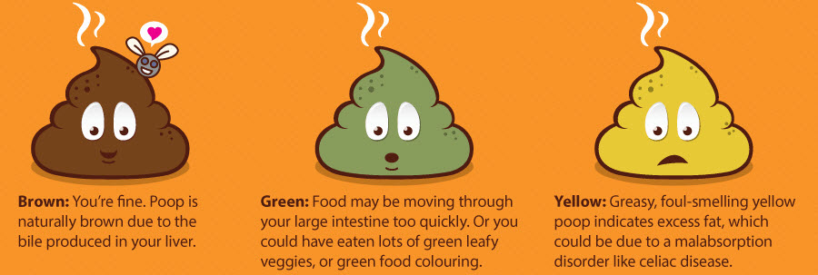 Infographic: How Well Do You Know Your Poop – Michael Sandberg's Data ...