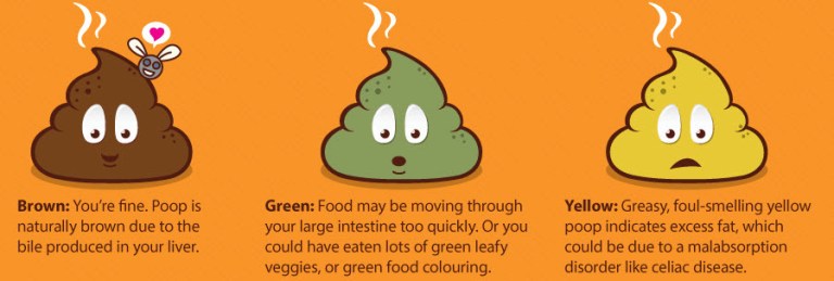 Infographic: How Well Do You Know Your Poop – Michael Sandberg's Data ...