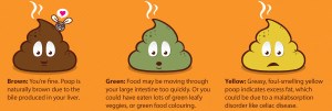 Infographic: How Well Do You Know Your Poop – Michael Sandberg's Data ...