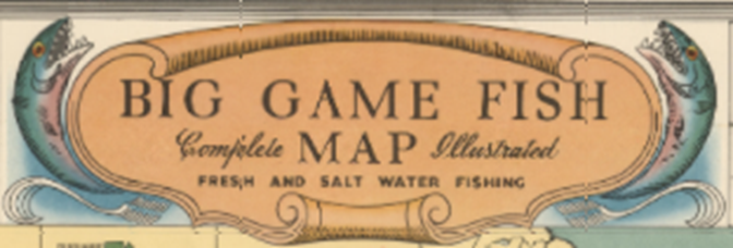 DataViz as Art: Big Game Fish, Complete Map Illustrated, Fresh and Salt ...
