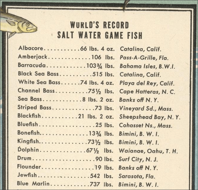 DataViz as Art: Big Game Fish, Complete Map Illustrated, Fresh and Salt ...