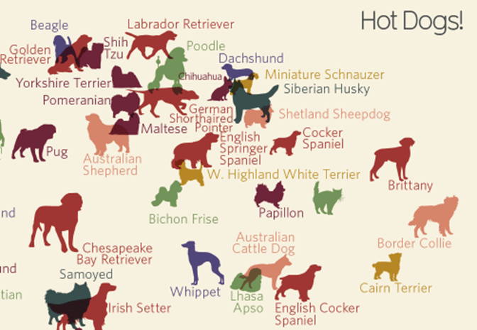 Best In Show Chart – David McCandless (Information is Beautiful ...