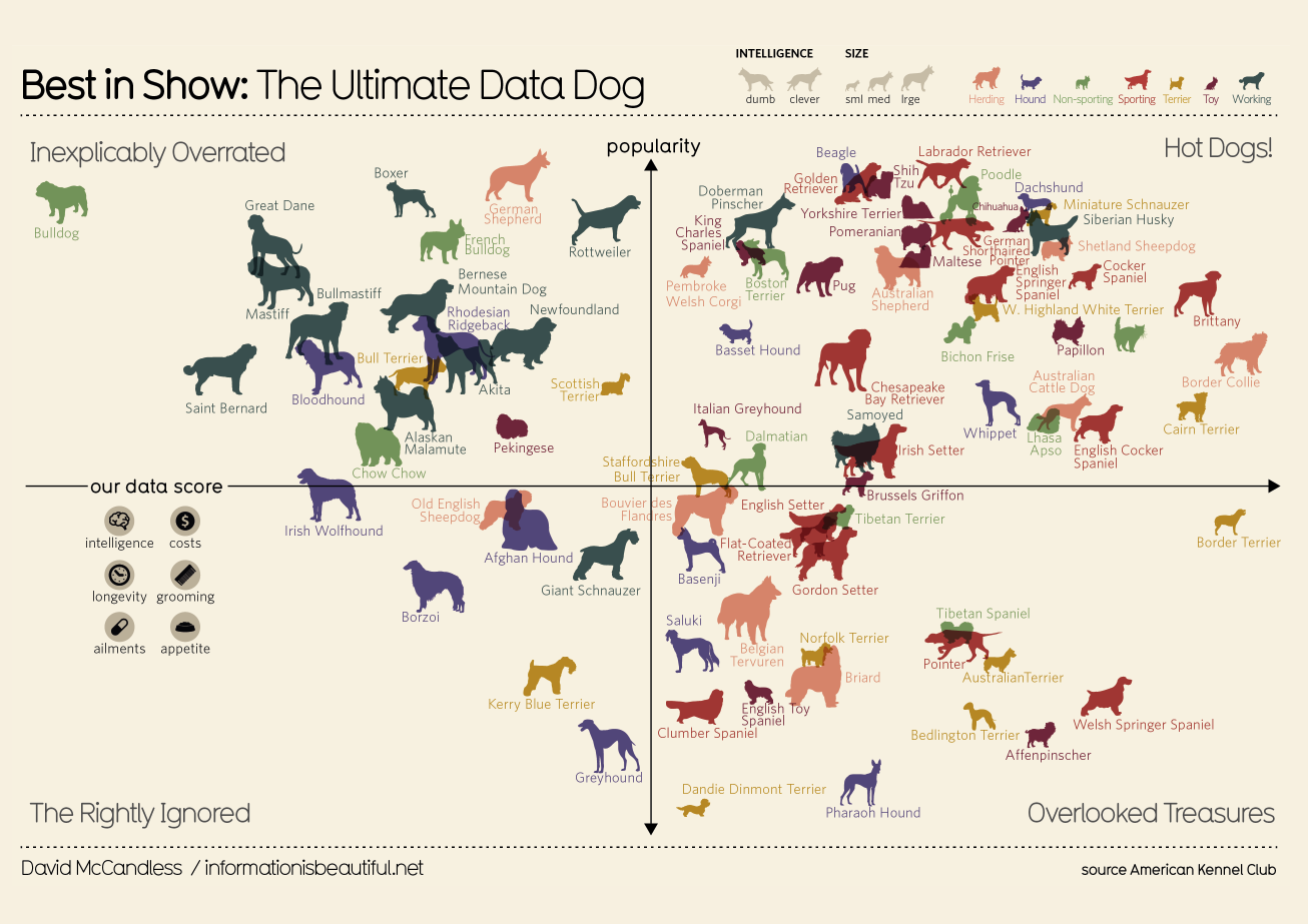 Best In Show Chart – David McCandless (Information is Beautiful ...