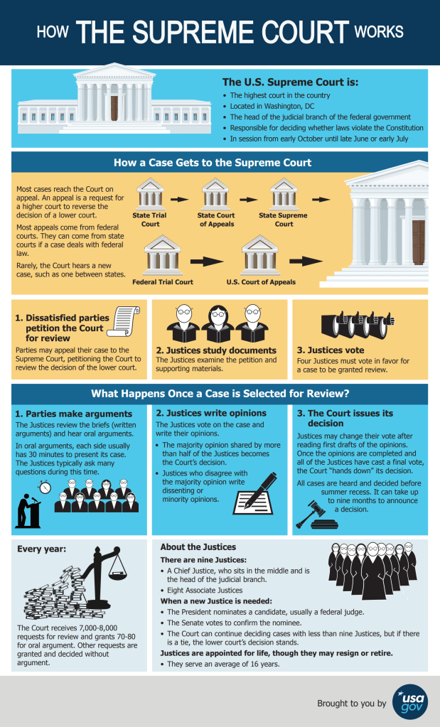 Infographic: How The Supreme Court Works (USA.gov) – Michael Sandberg's ...