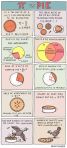 Infographic: Pi vs. Pie (Happy Pi Day) – Michael Sandberg's Data ...