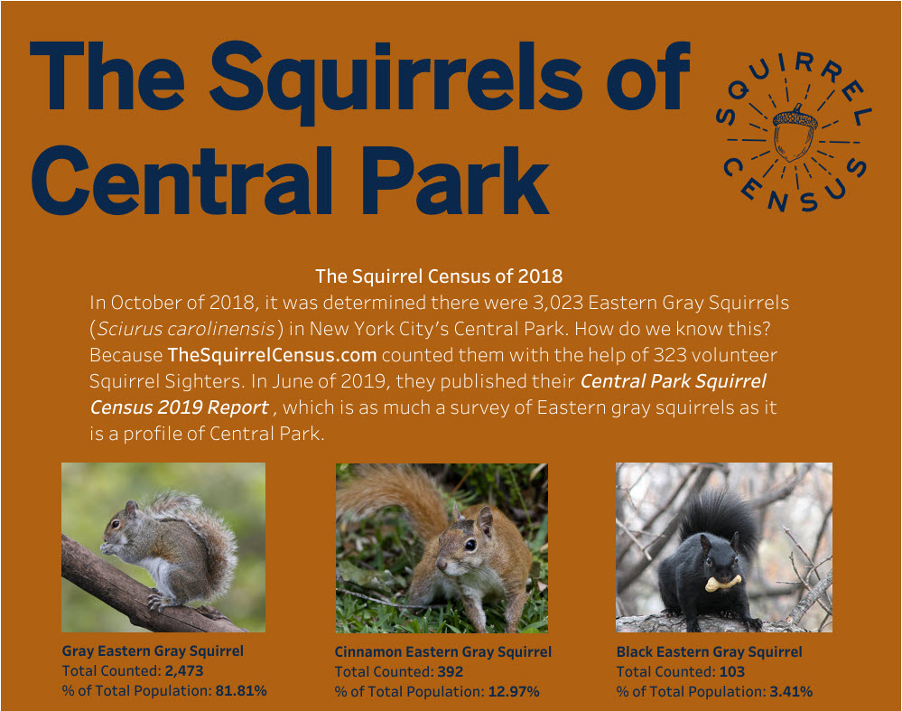 #MakeOverMonday 2019.48 – The Squirrels of Central Park Census – Michael Sandberg's Data ...
