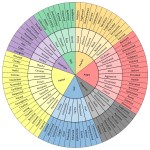 The Feel Wheel – How Are All of You Doing Out There? – Michael Sandberg ...
